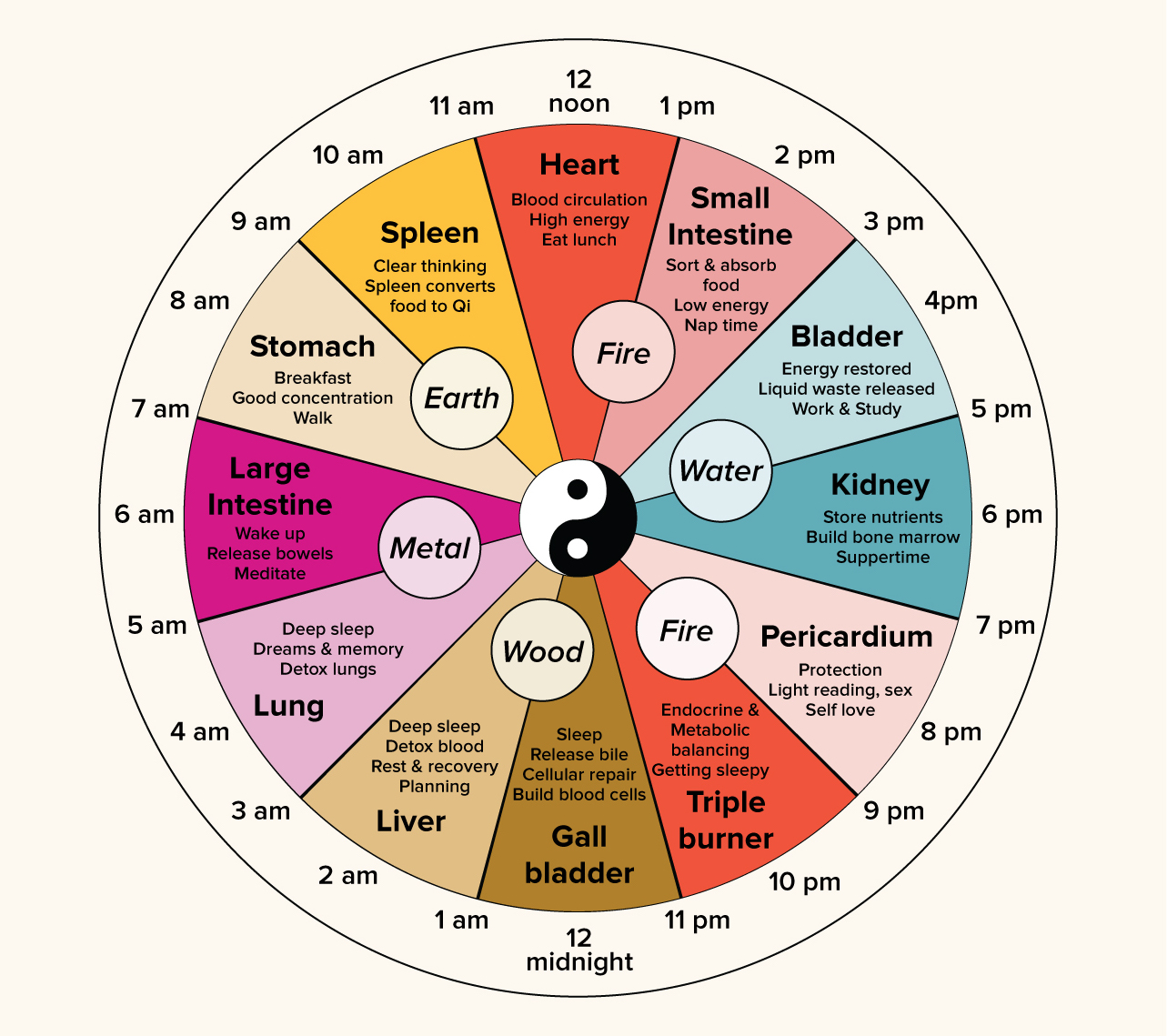 The Impact of Minding the 24-Hour TCM Body Clock on Health – Conscious ...